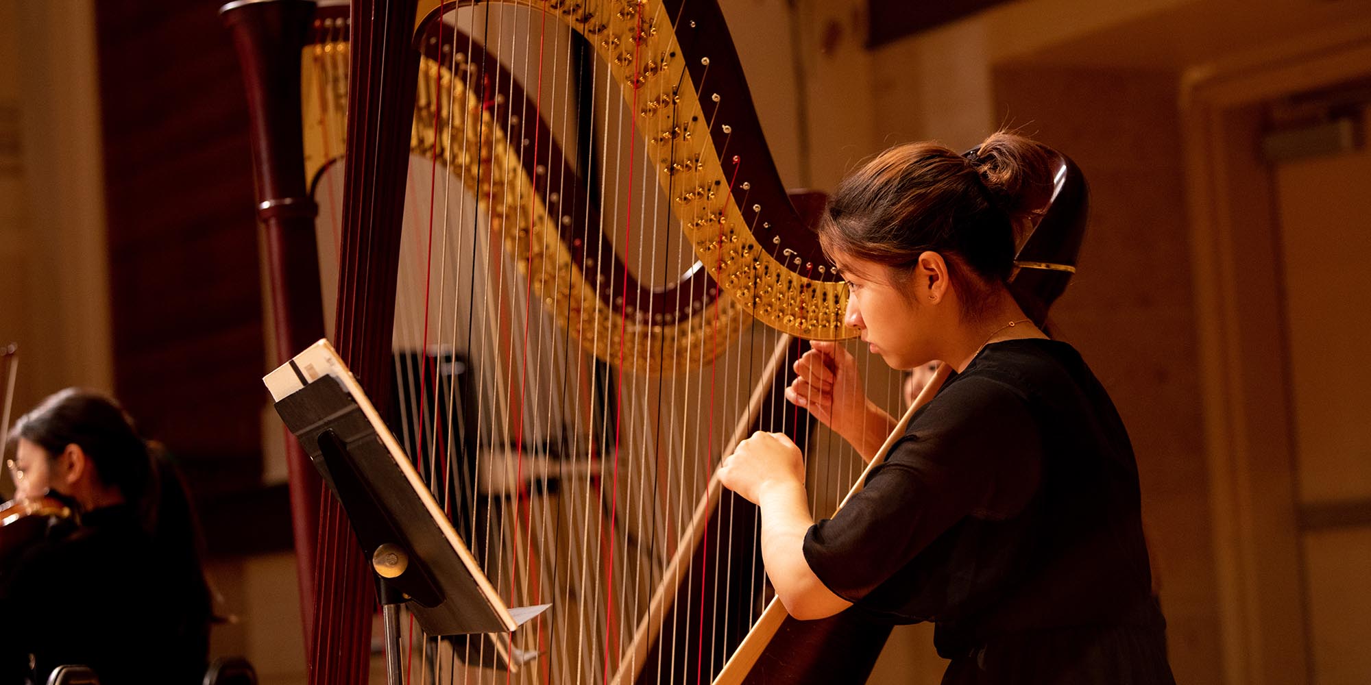 Ginger Rose Brucker, Junior Harp Recital